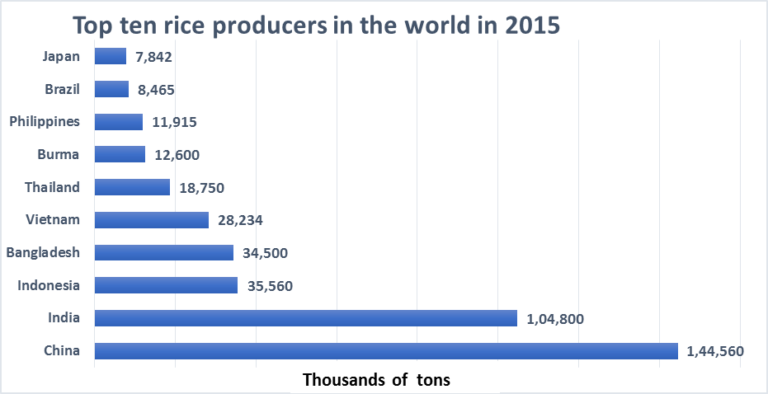IELTS WRITING Information about the top ten rice producing countries