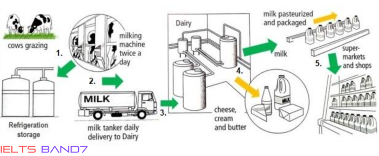 Academic Writing Task The production and processing of milk